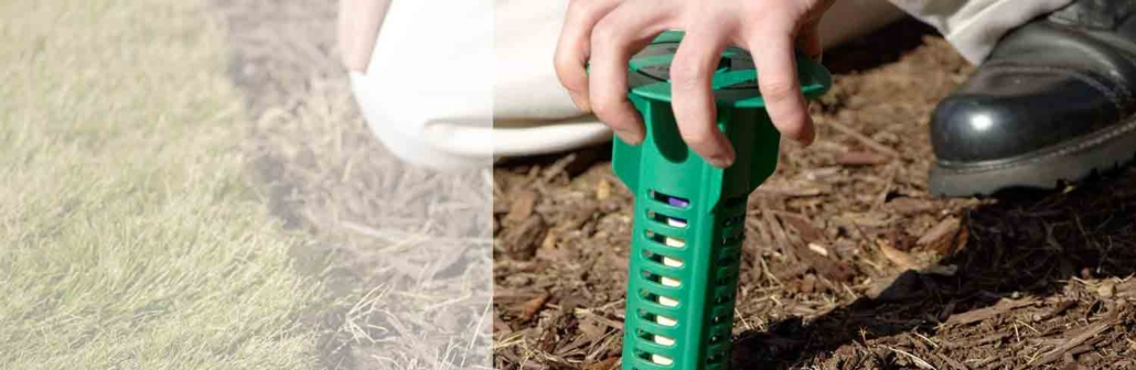 Charleston Termite Control - Removal, & Prevention Systems